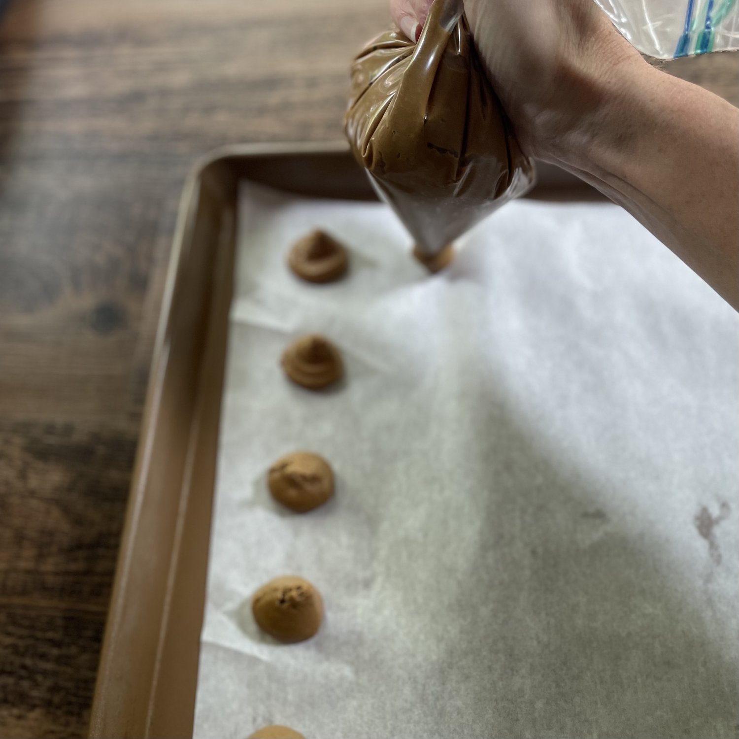 Spider Molasses Cookies - inspirationapron.com